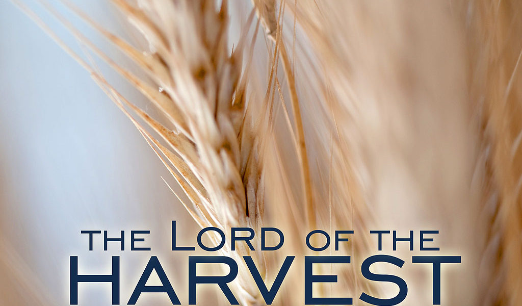 Our Help Comes From The Lord Our Help Comes From The Lord